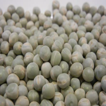 Emergence Agro