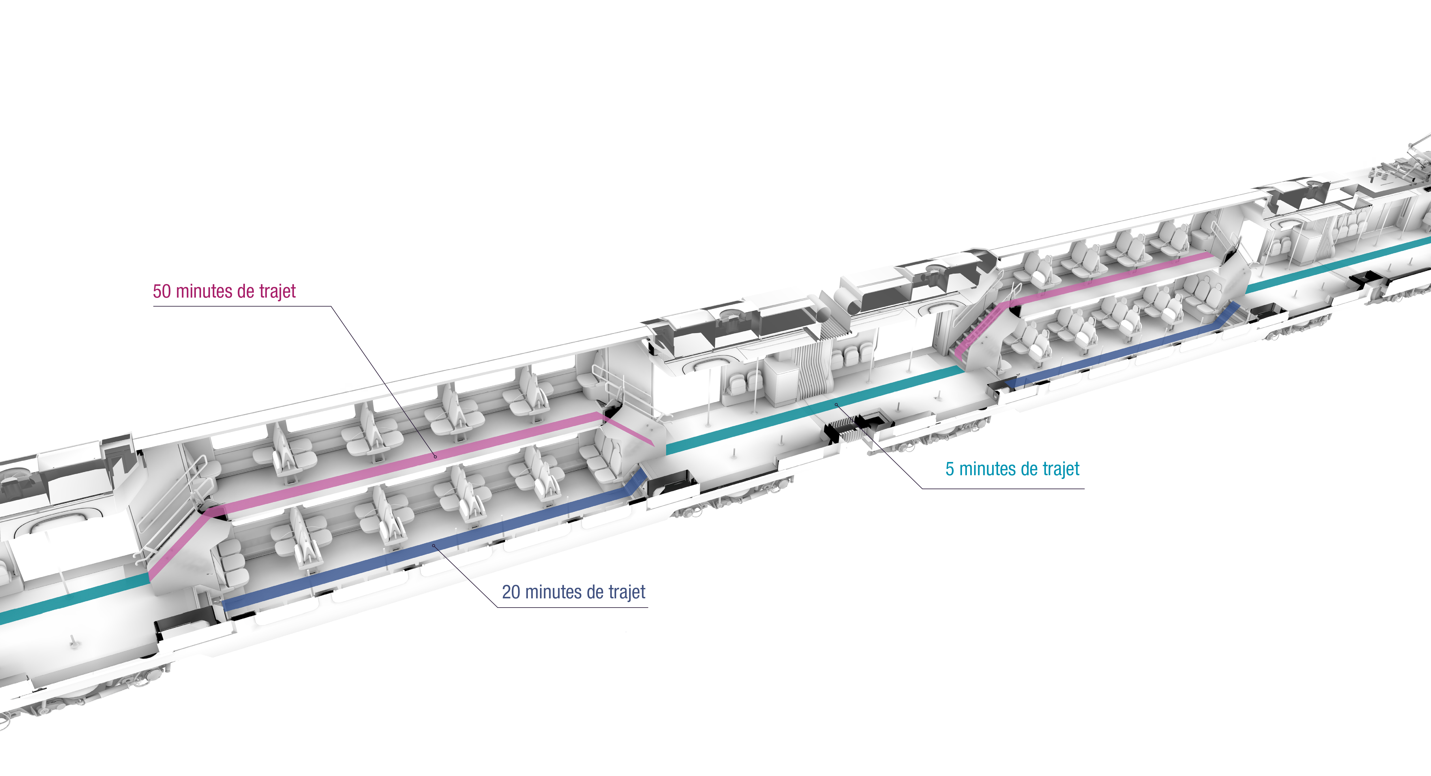 Des trains de nouvelle génération commandés pour les lignes D et E du ...