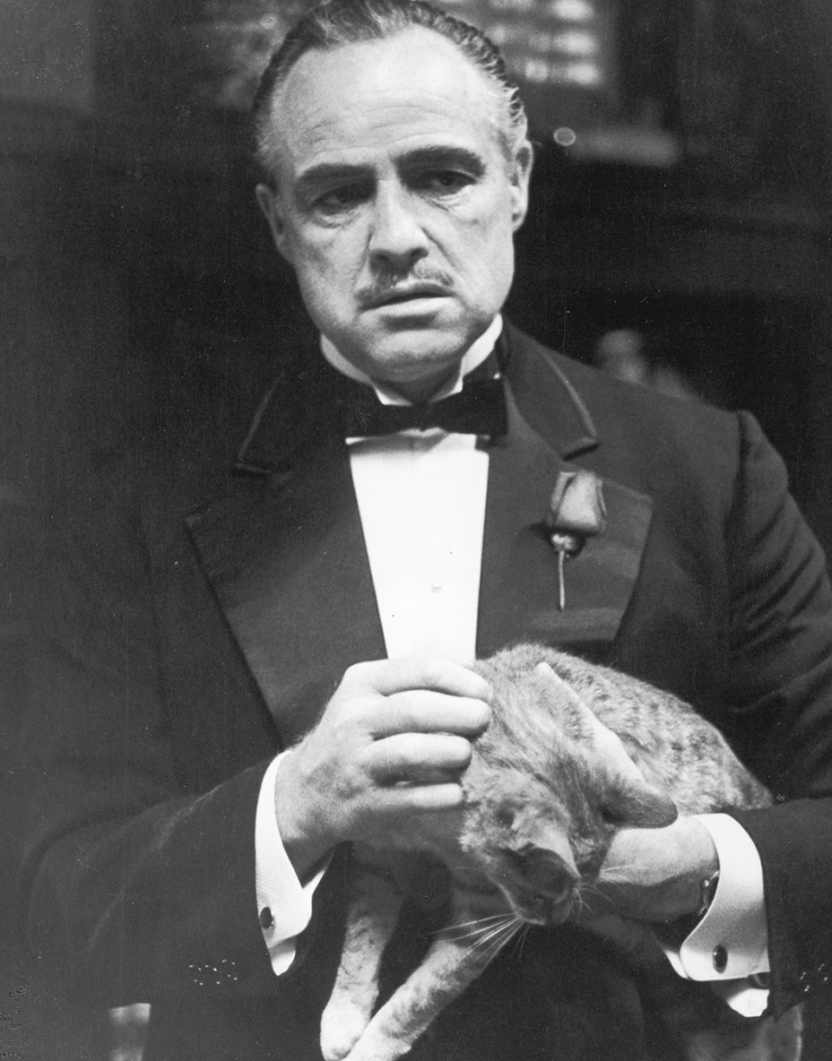 ¿Por qué sigue siendo importante hablar de ‘El Padrino’?