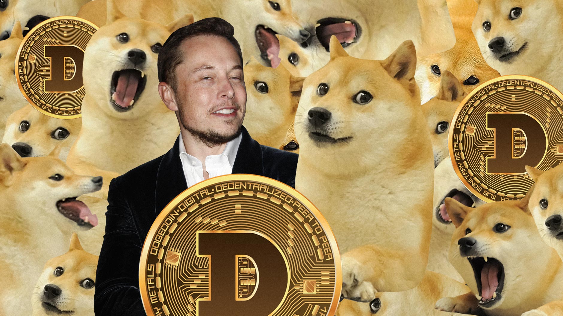 ¿Por qué ha puesto Elon Musk al perro Doge como logo de Twitter?